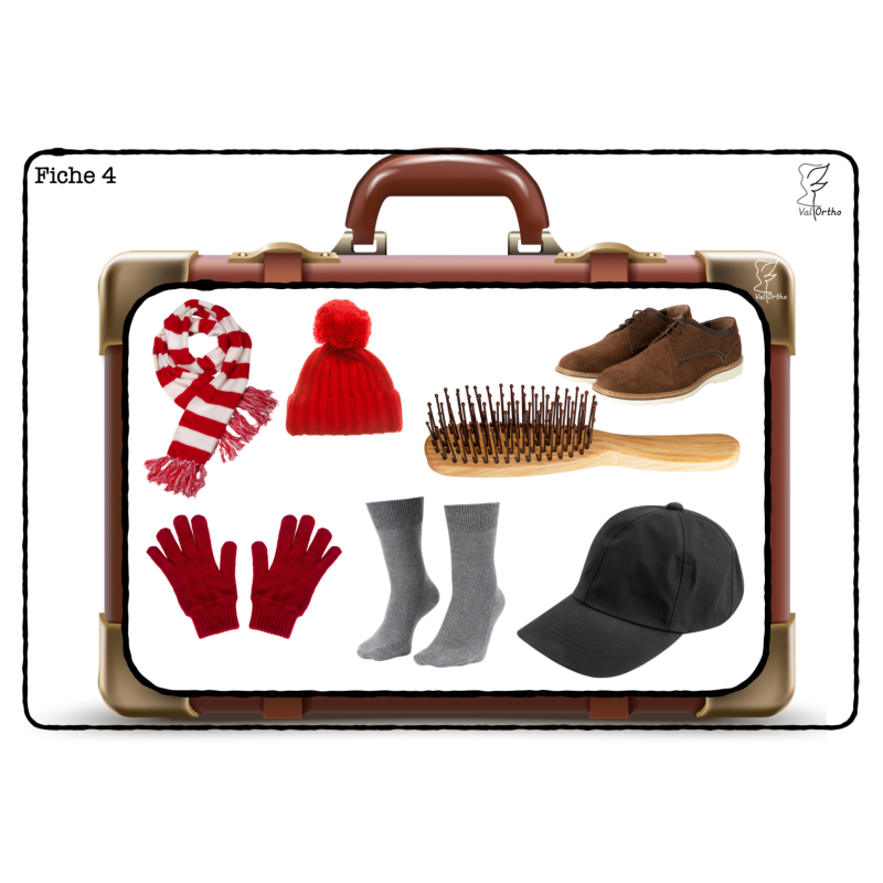 Dans cette valise, il y a...